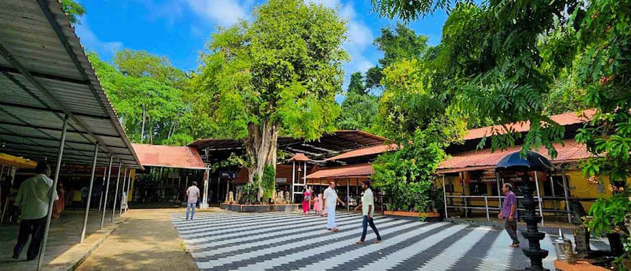 AADIMOOLAM VETTICODE SREE NAGARAJA SWAMI TEMPLE